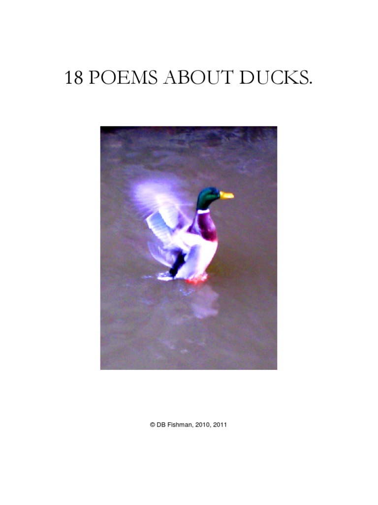 18 Poems About Ducks | Nature