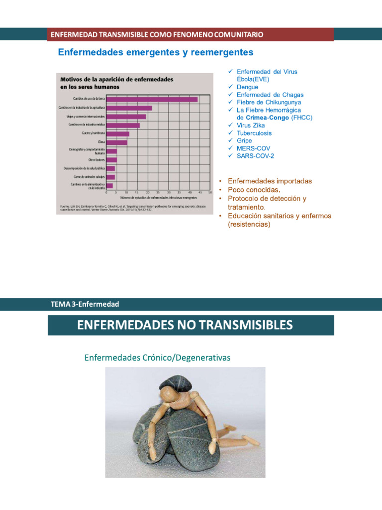 Tema 2 Herramientas Metodológicas Básicas (3) (051-101) | PDF