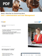 Sap Uam User Guide v4.0 | PDF