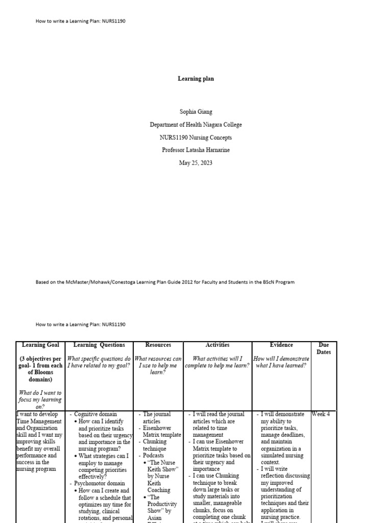 Learning Plan | PDF | Nursing | Learning