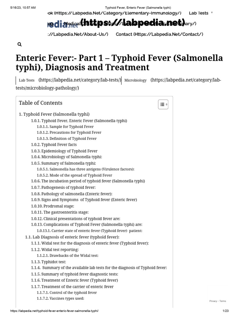 Typhoid Fever: Causes, Symptoms, and Treatment | PDF | Salmonella ...
