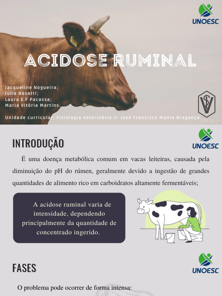 Acidose Ruminal - Seminário Fisio | PDF | Gado | Alimentos