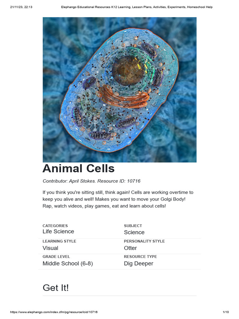 Animal Cells | PDF | Cell (Biology) | Endoplasmic Reticulum