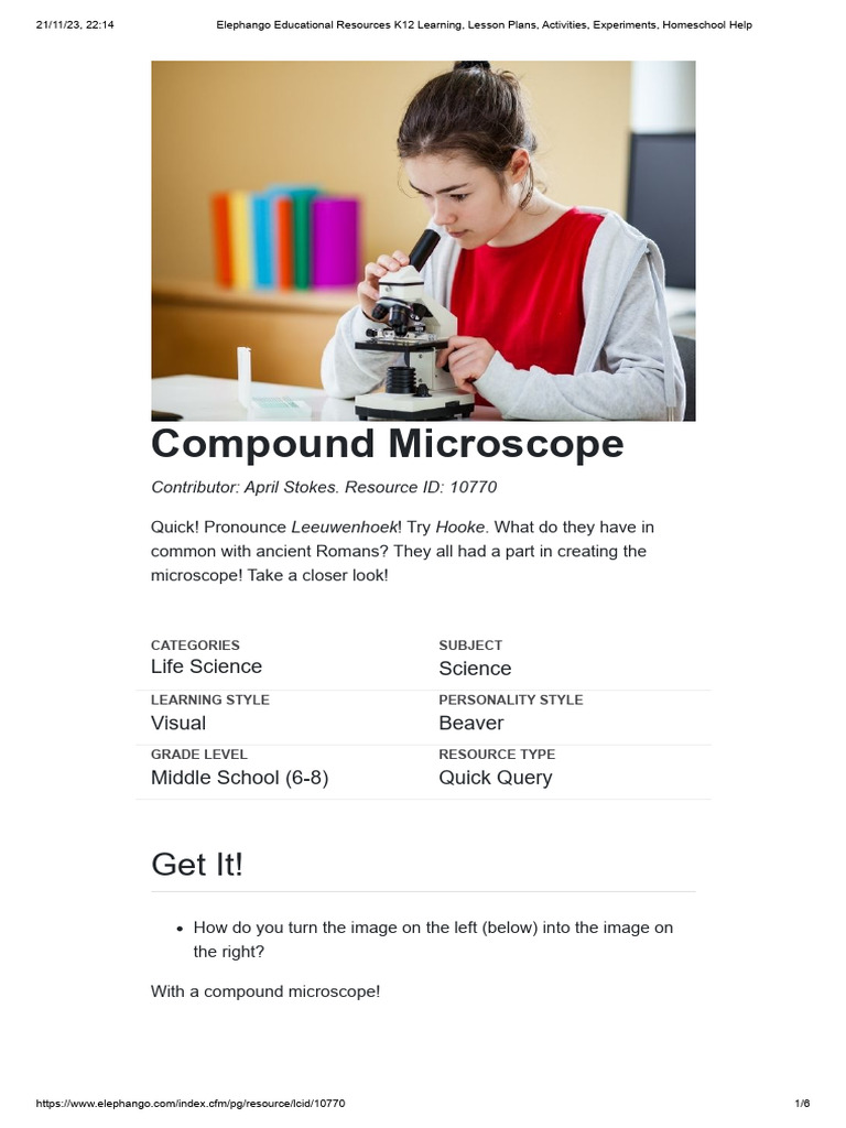 Compound Microscope | PDF | Microscope | Optical Devices