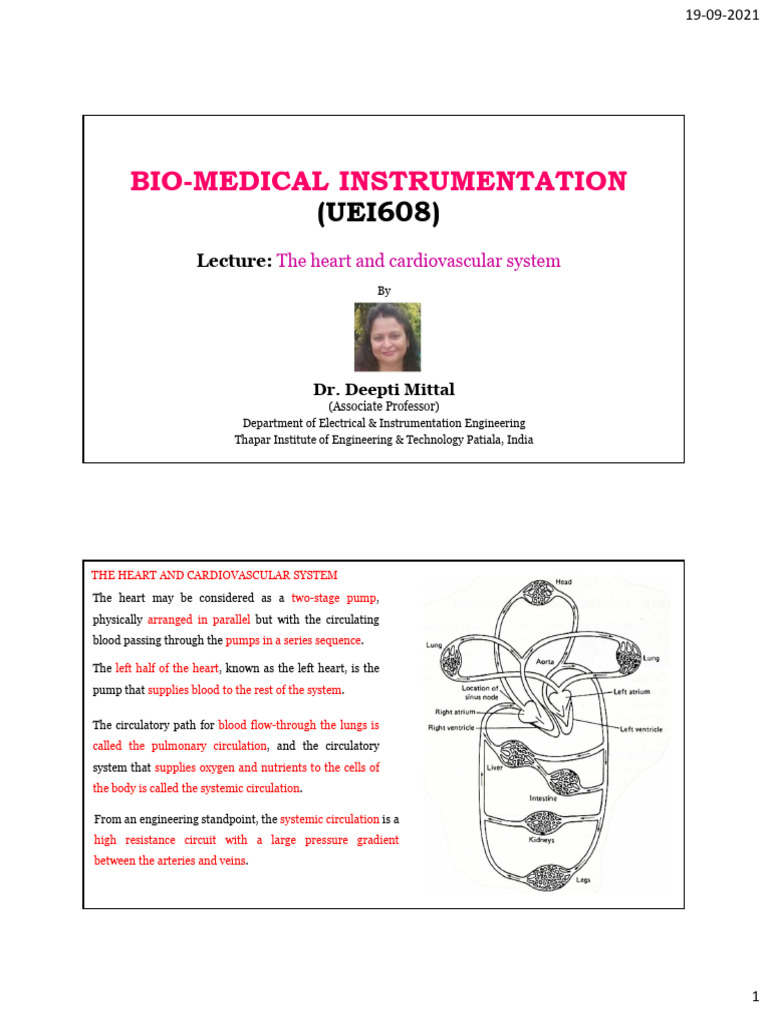 Heart and Cardiovascular System Overview | PDF | Diastole | Heart
