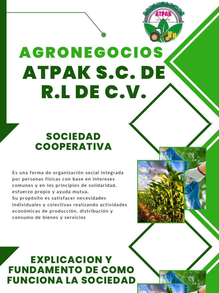 Cooperativa Agronegocios ATPAK S.C. | PDF | Cooperativa | Economía social