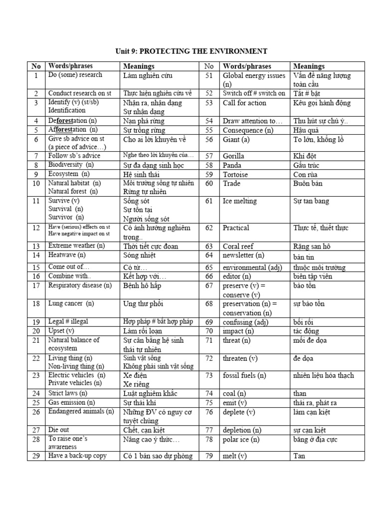 Vocab - Unit 9 | PDF