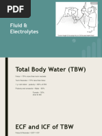 Adult Electrolyte Replacement Protocol | PDF | Magnesium | Potassium