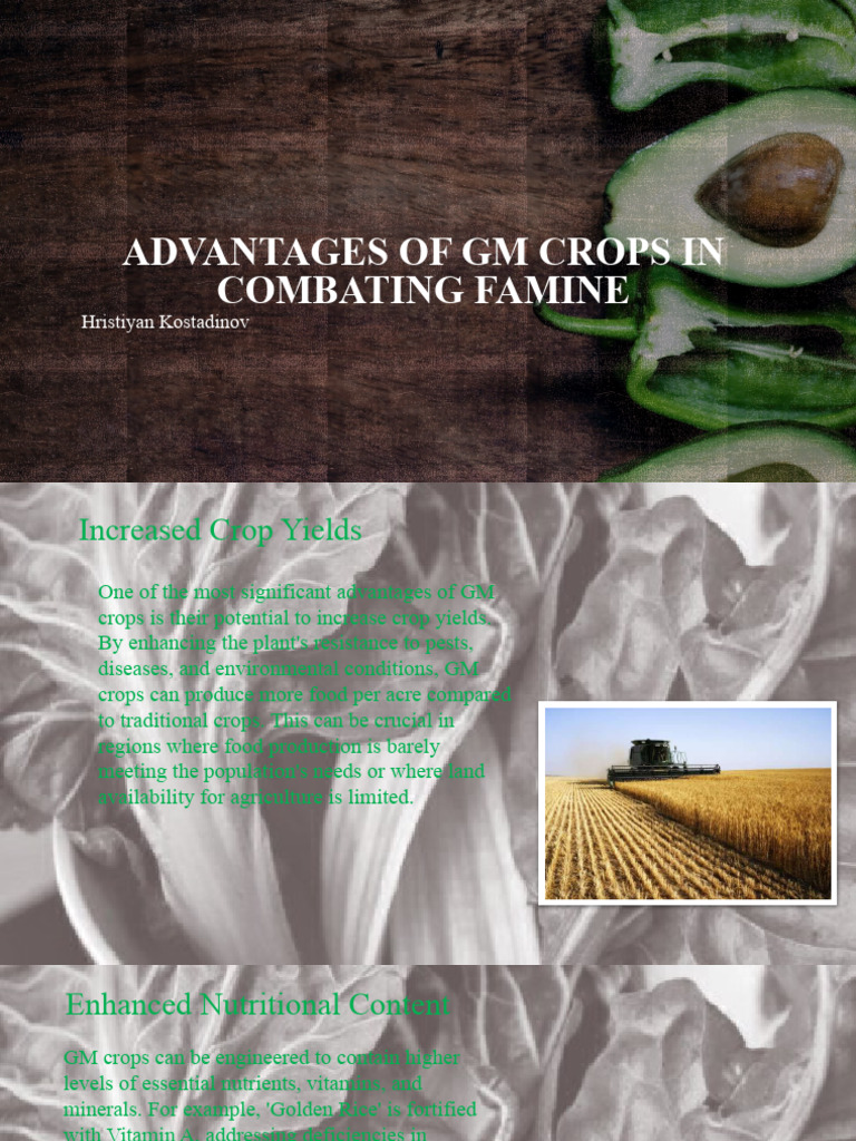 Advantages of GM Crops in Combating Famine | Download Free PDF | Agriculture | Genetically ...