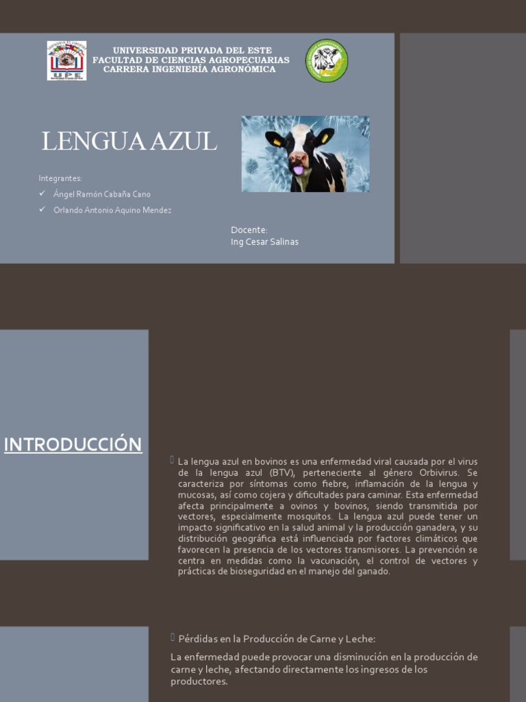 Lengua Azul en Bovinos: Causas y Prevención | PDF | Virus | Anticuerpo