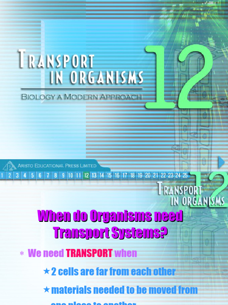 Organism Transport Systems Explained | PDF | Atrium (Heart) | Heart Valve