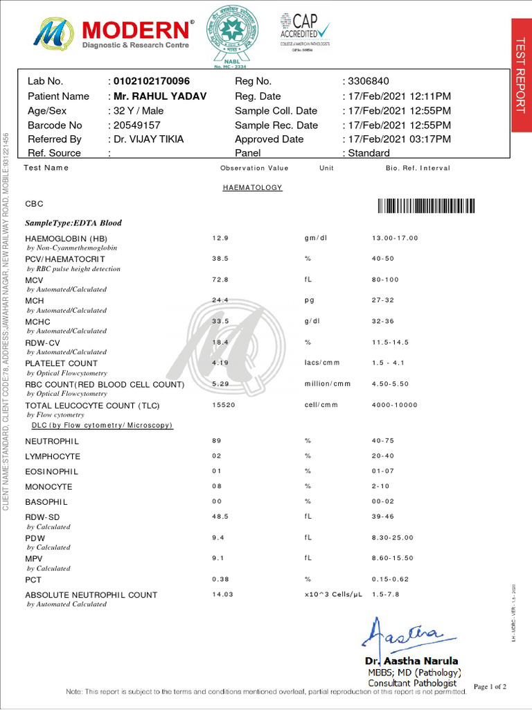 CBC Blood Test New | PDF | Medical Tests | Pathology