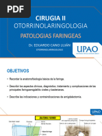 Anatomía y Función del Istmo de las Fauces | PDF | Medicina CLINICA ...
