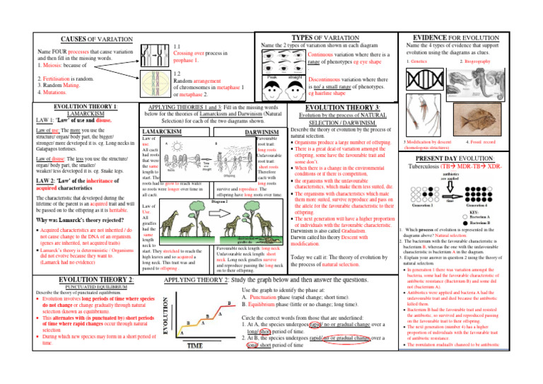 11.1 2020 MEMO Evolution Final One Pager (1) | PDF | Natural Selection ...