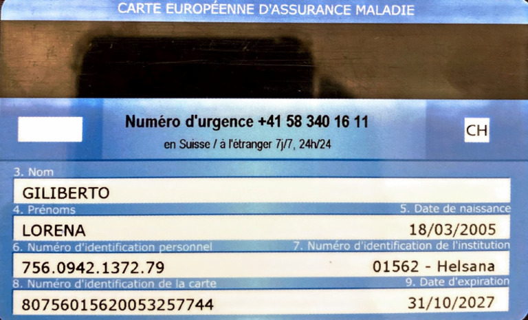 Carte Assurance Giliberto Lorena 2 | PDF