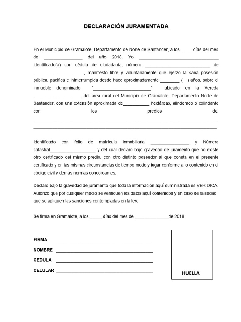 2052 - Modelo Declaracion Juramentada | PDF