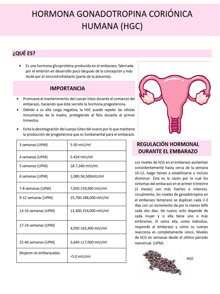 Hormona Gonadotropina Coriónica Humana | PDF | El embarazo | Gonadotropina coriónica humana