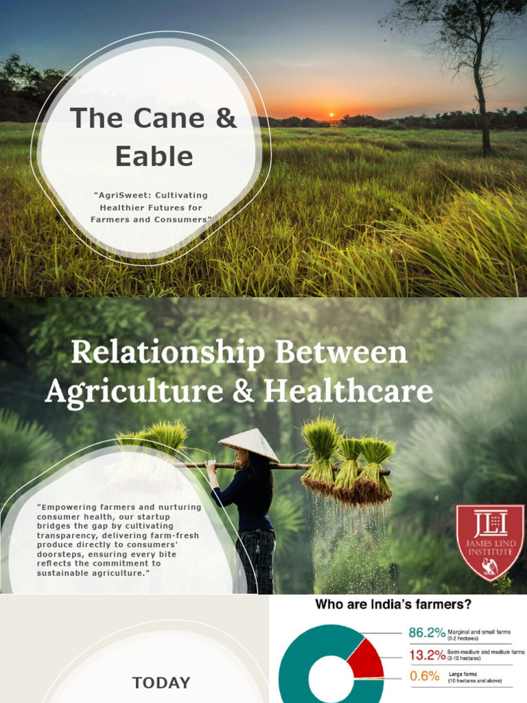 The Cane & Eable | PDF | Sugar | Diet & Nutrition