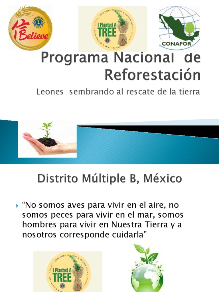 Programa Nacional de Reforestacion | PDF | Los bosques | Arboles