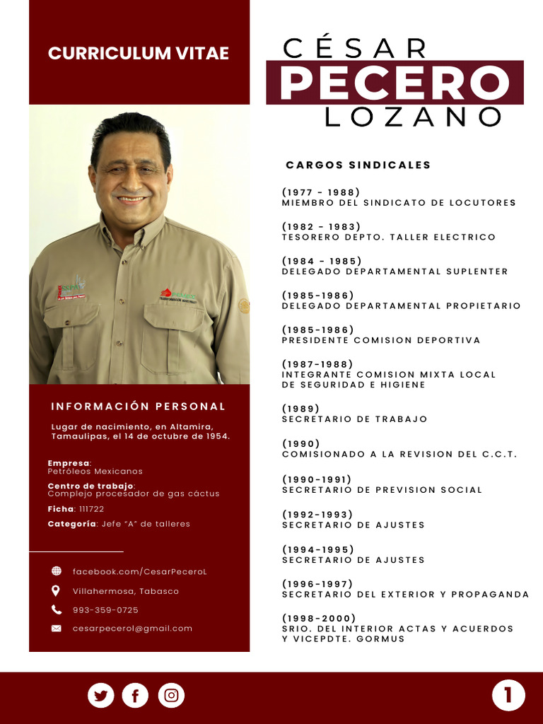 3.-Curriculum Vitae Cesar Pecero Lozano | PDF