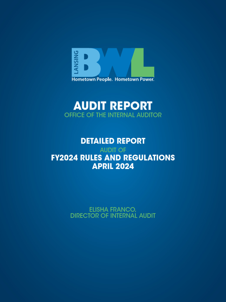 BWL Audit Report | PDF | Audit | Internal Audit