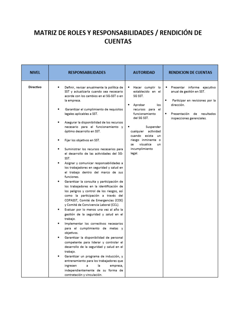 Matriz de Roles y Responsabilidades | PDF | Responsabilidad | Business
