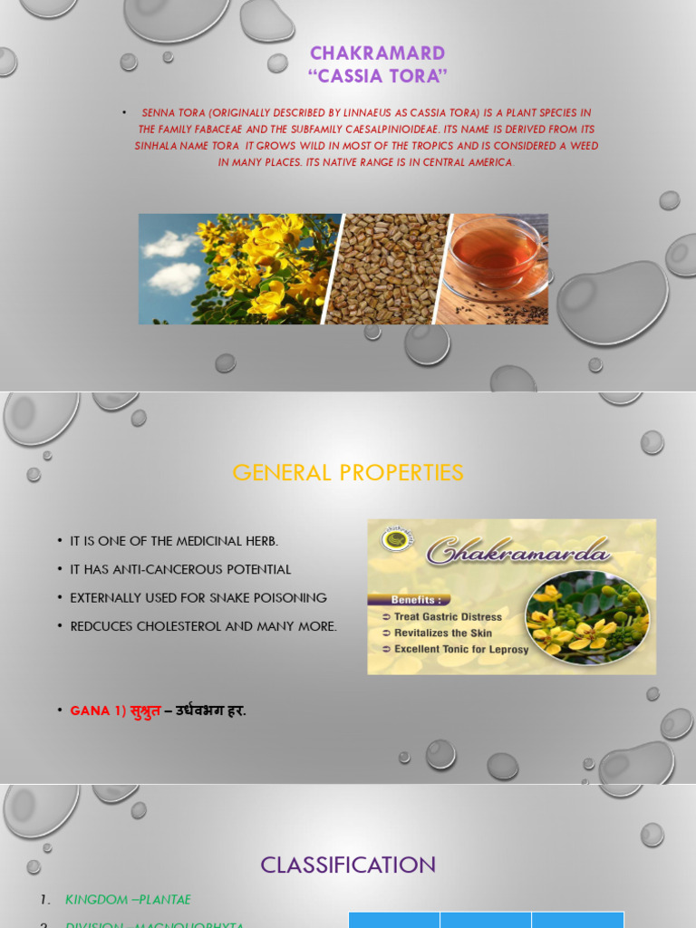 Chakramard "Cassia Tora" | PDF | Wellness