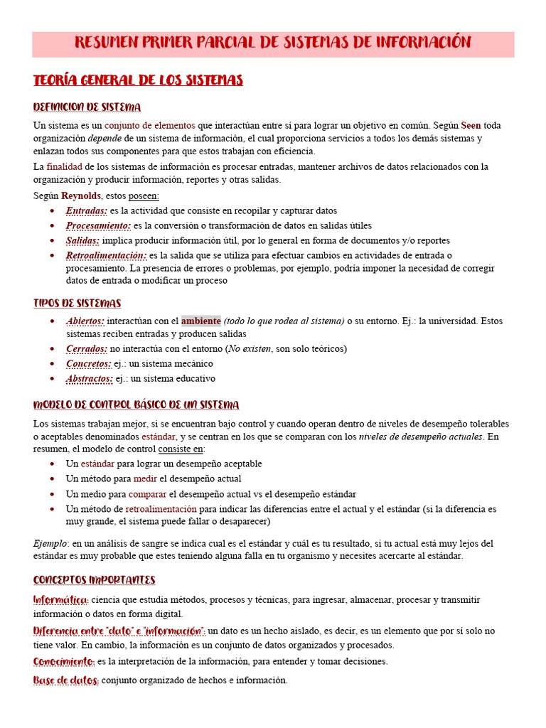 Resumen Teoría Primer Parcial de Sistemas de Información | PDF | Almacenamiento de datos de la ...