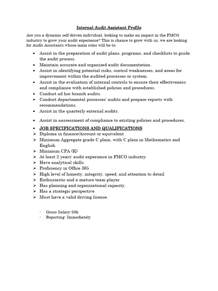 Internal Audit Assistant Profile | PDF | Business | Finance & Money ...