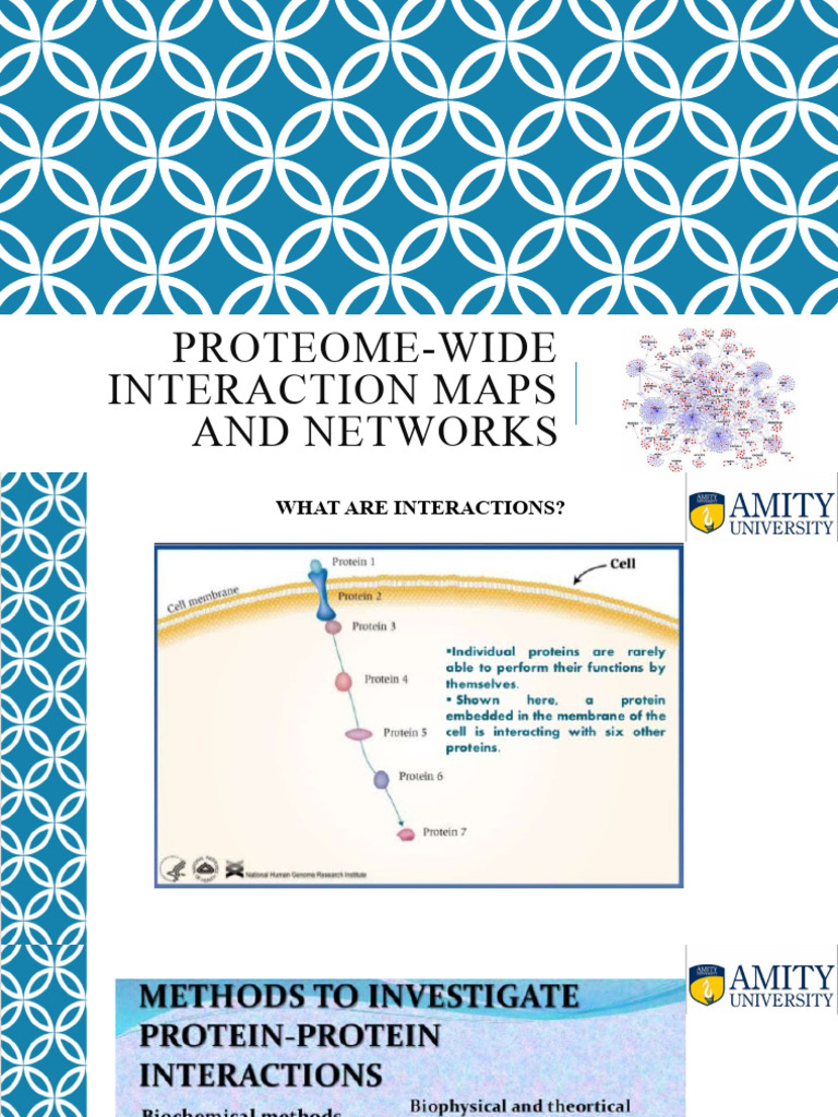 Proteome Wide Interaction Maos and Networks | PDF | Protein–Protein Interaction | Proteins
