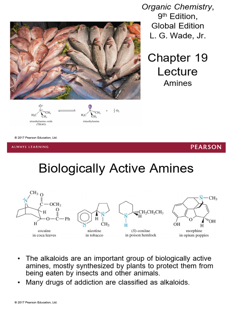 CH 19 - Amines | PDF | Amine | Organic Chemistry