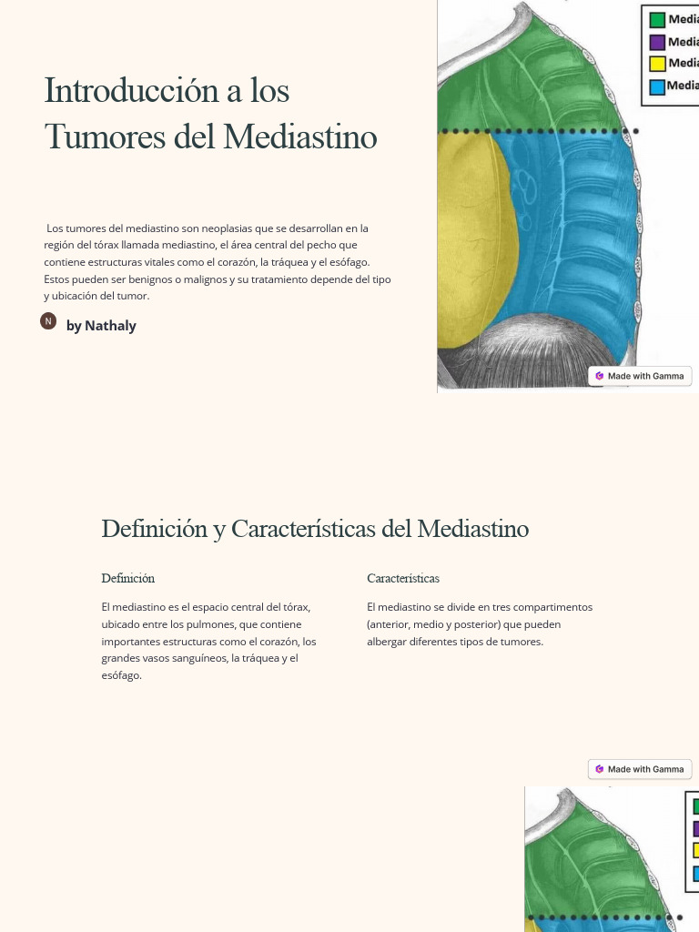Introduccion A Los Tumores Del Mediastino | PDF | Neoplasias | Causas de la muerte