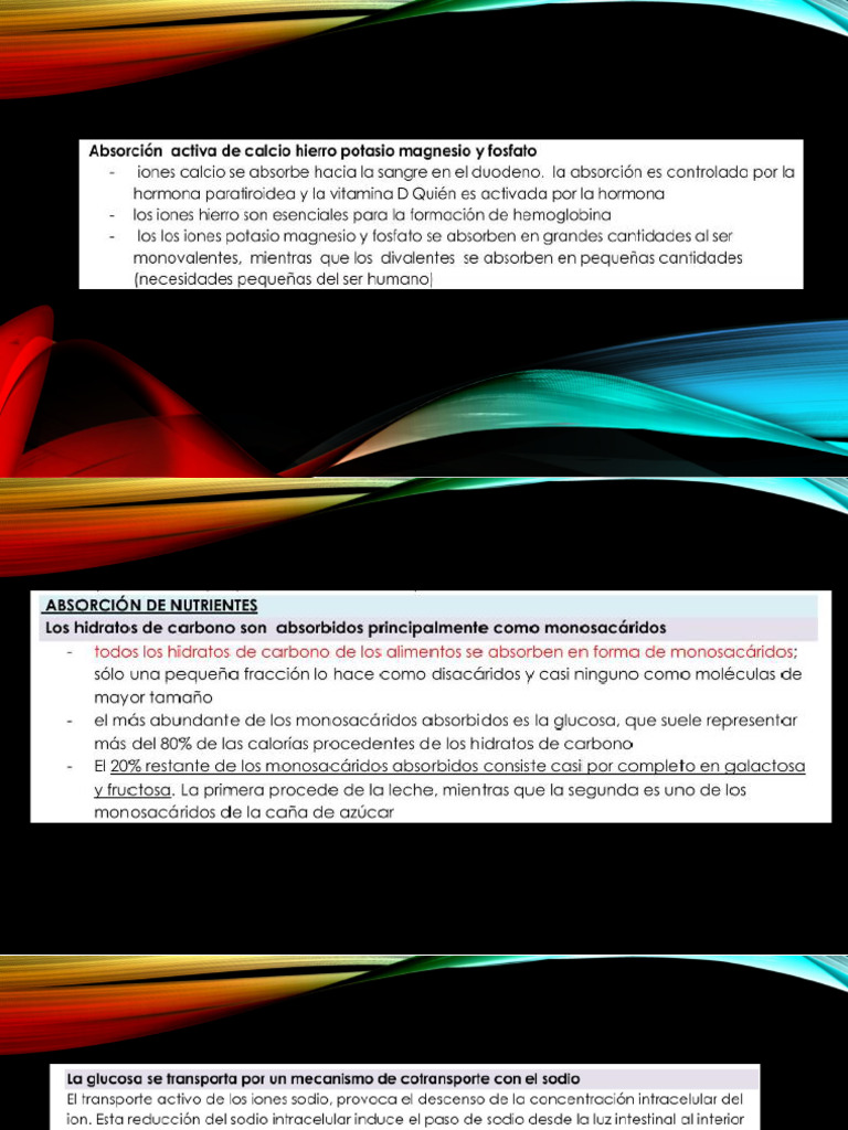 Absorción Fisiologia | PDF
