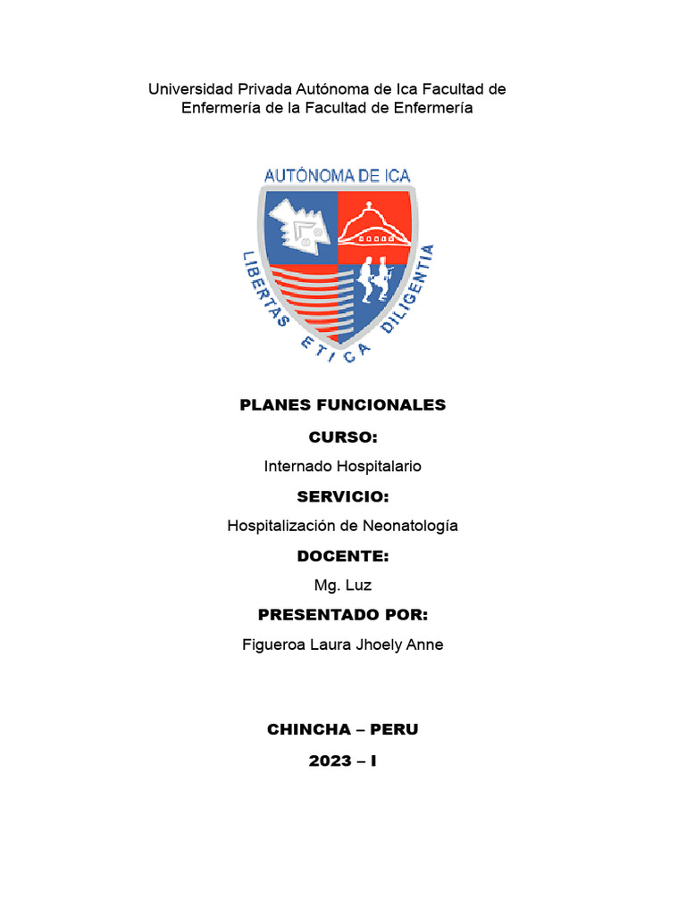 Plan Funcional de Neo | PDF | Amamantamiento | Especialidades Medicas