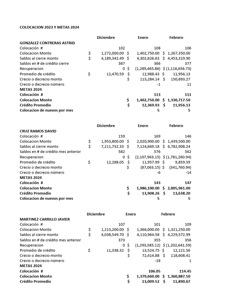 Metas 2024 Asesores | PDF