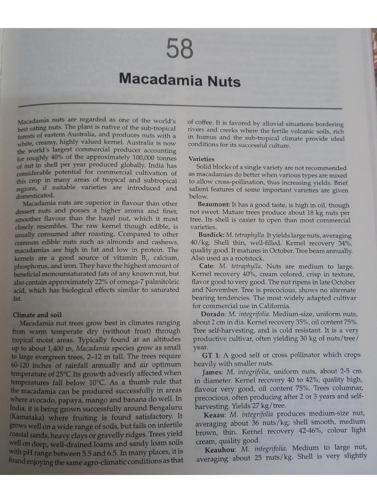 Macadamia Nut Chapter | PDF