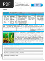 Ciclosis y Procesos Celulares Esenciales | PDF | Fotosíntesis ...
