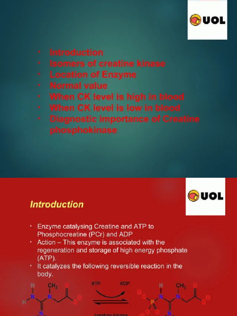 CK | PDF