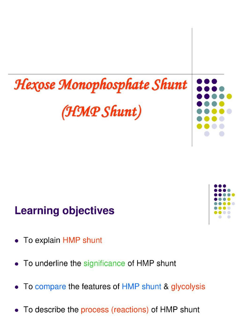 HMP | PDF