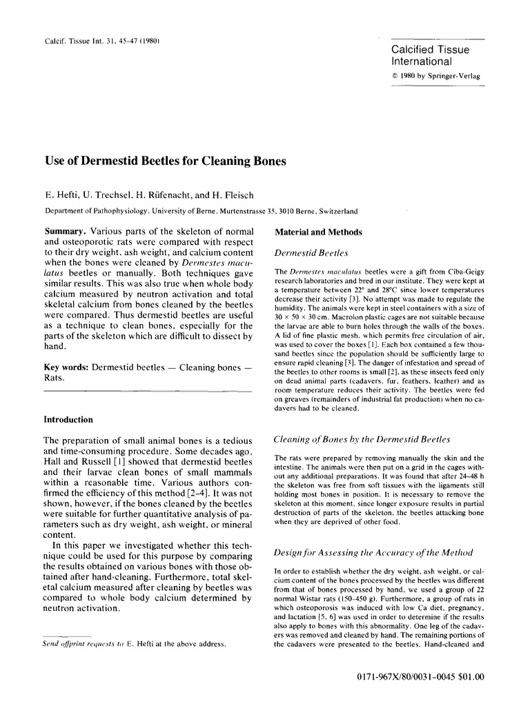 Hefti 1980 Dermestids For Cleaning Bones | PDF | Skeleton | Bone