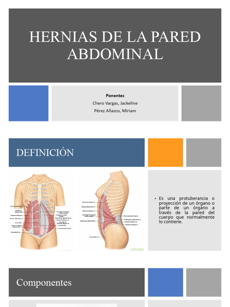 EXPO HERNIAS (1) | Descargar gratis PDF | Abdomen | Especialidades Medicas