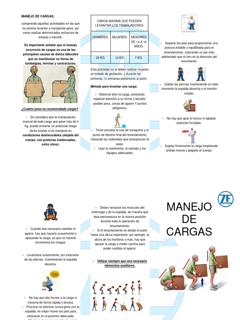 Tríptico Manejo de Cargas | PDF