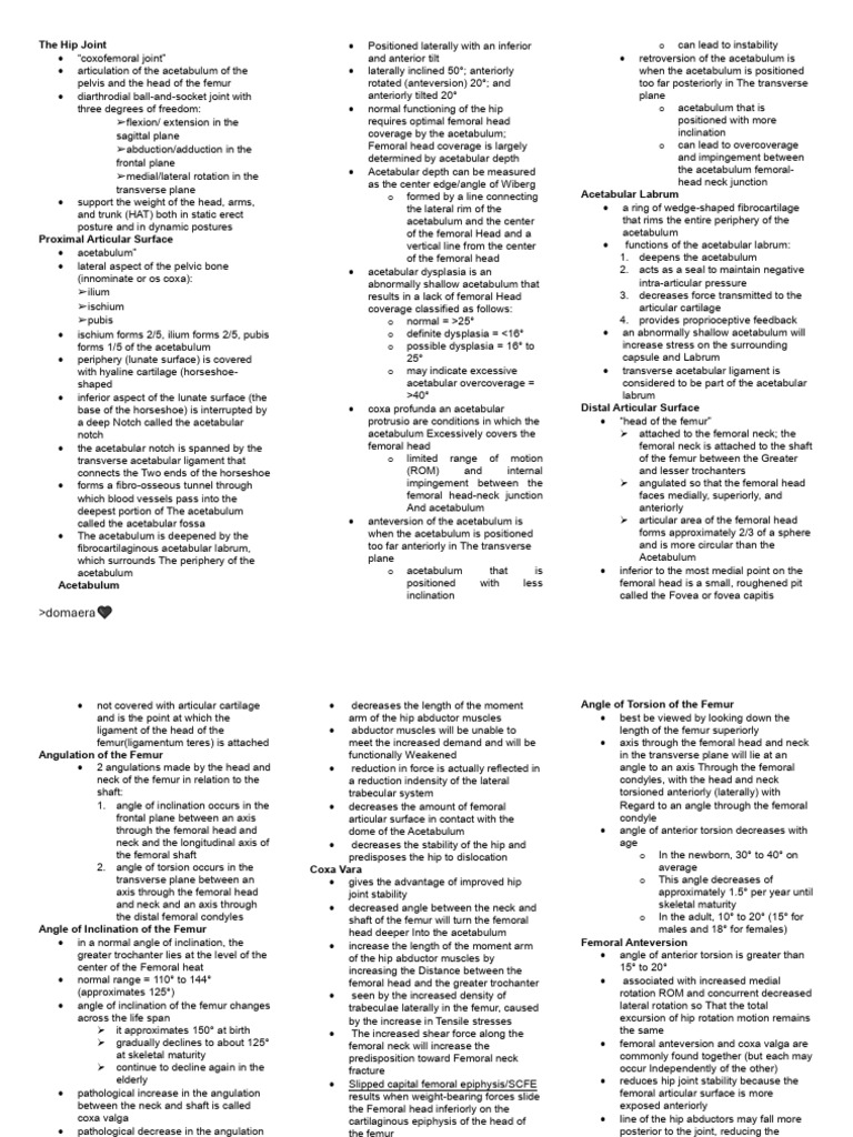 Hip Complex | PDF | Hip | Pelvis