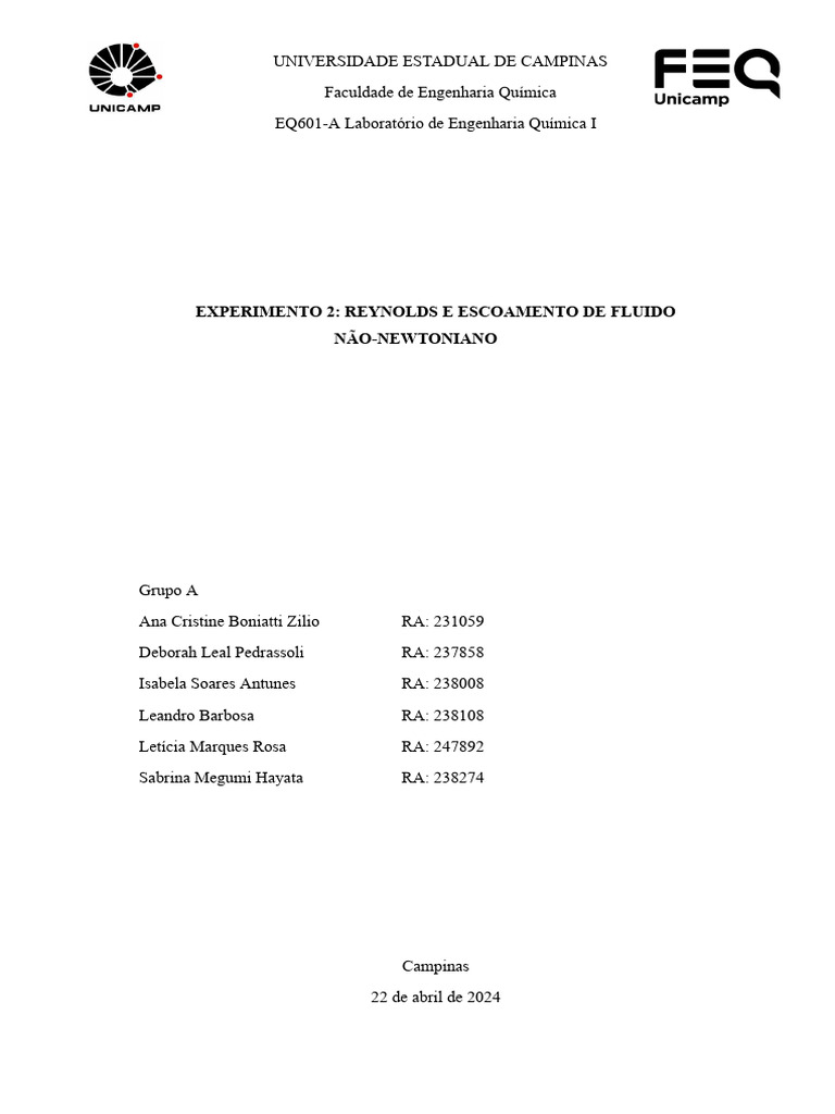 EQ601 GrupoA Relatório2 | PDF | Mecânica dos fluidos | Coeficiente de Reynolds