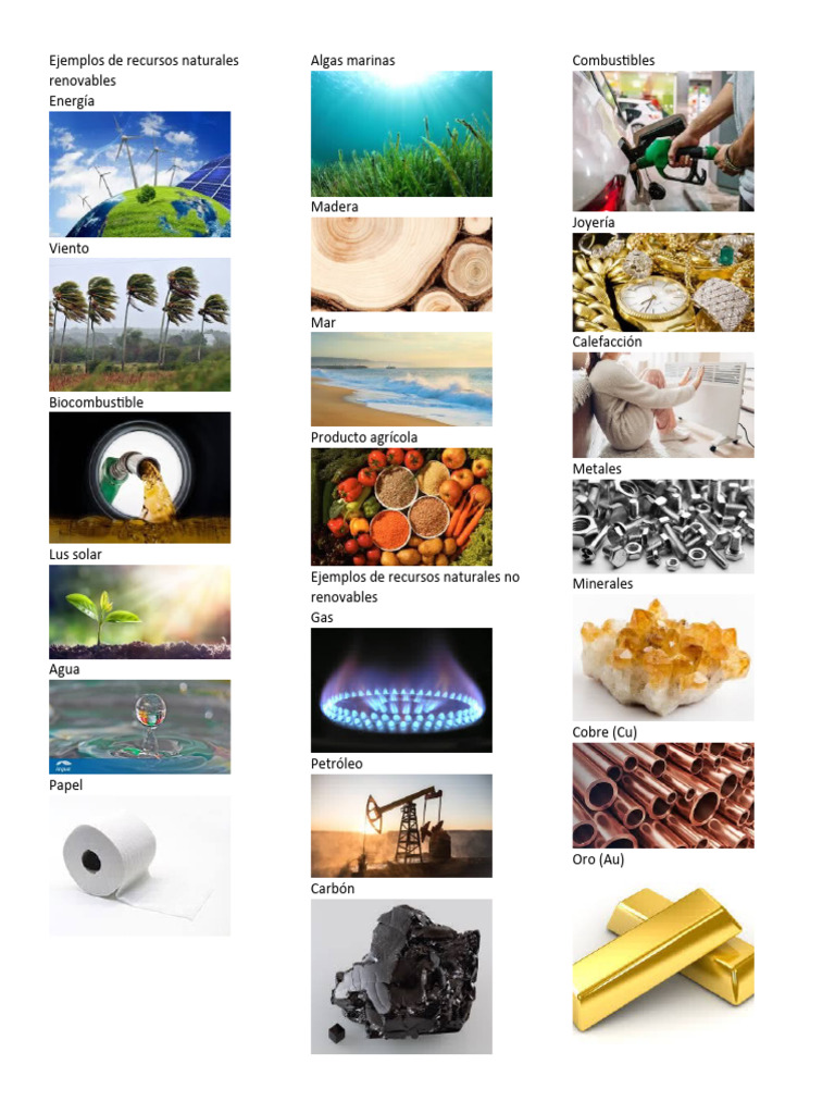 Recursos Naturales Renovables Y No Renovables Ejemplos Recursos