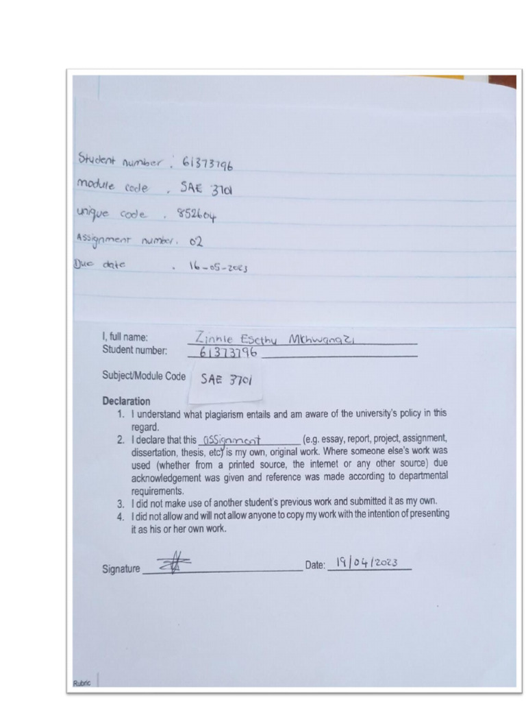 Zinhle SAE Assignment | PDF | Sexism | Taxes