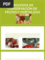 CONSIST MAX Ficha Tecnica | PDF | Cultivos | Plantas