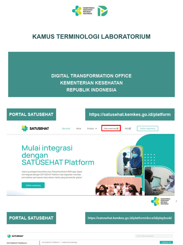 Cara Mapping Loinc | PDF | Technology & Engineering