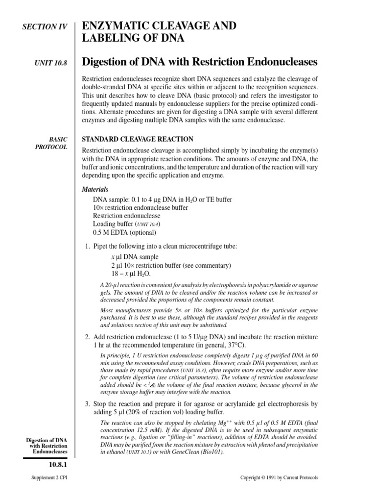 Digestion of DNA with Restriction Endonucleases | PDF | Restriction ...