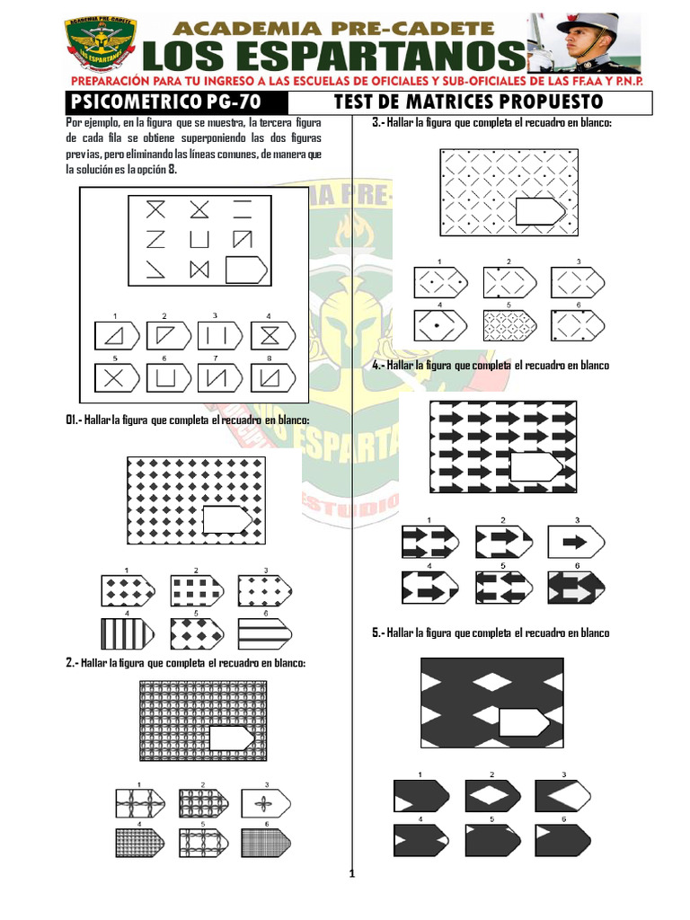 Pg-70 Psicometrico Test de Matrices | PDF